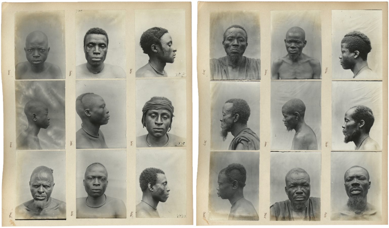 Anthropological Report on the Edo-Speaking Peoples of Nigeria Archives ...